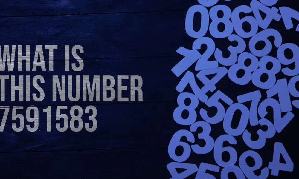 What Is This Number 7591583? Discover Its Hidden Meaning
