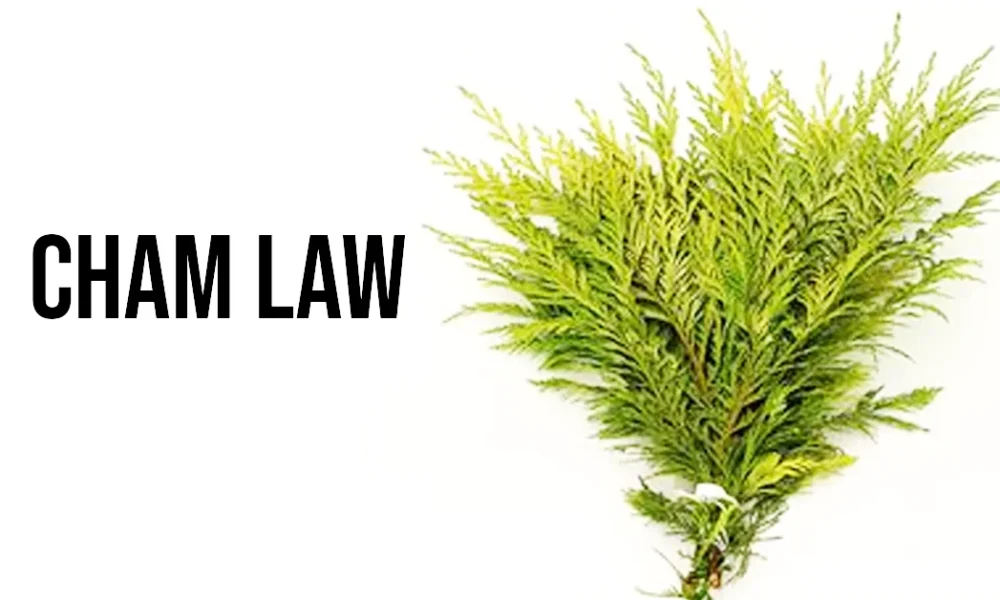 Understanding Cham Law: Key Insights And Legal Principles