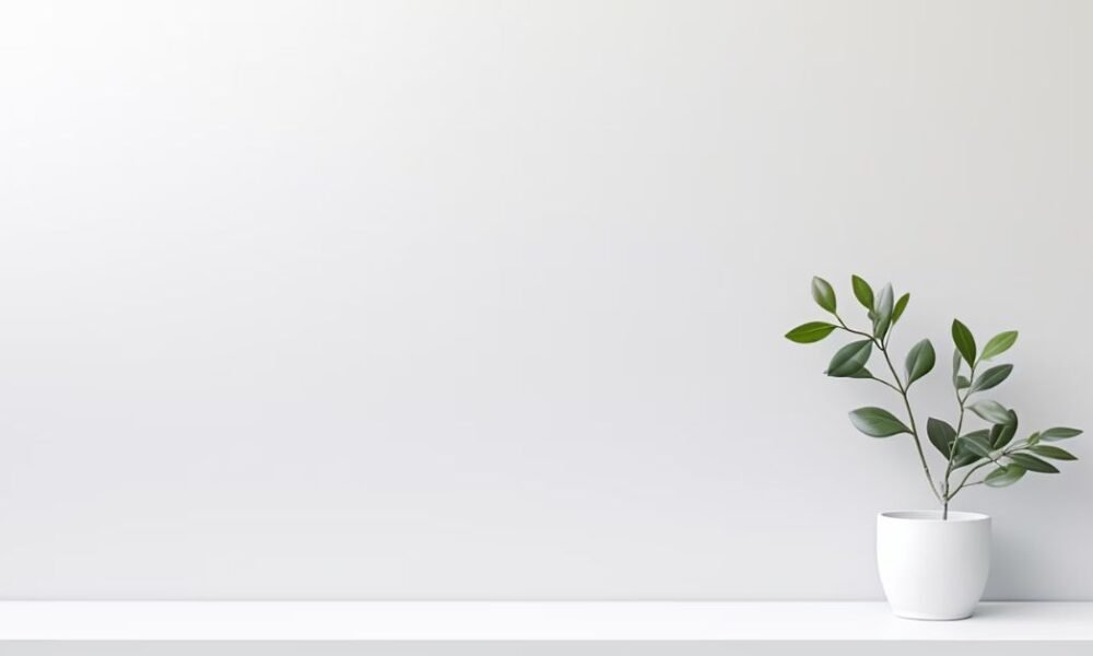 10 Minimalist Zoom Backgrounds for a Clean, Sleek Look - 25pr
