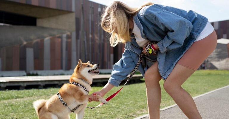 Tick Zoo Dog: Effective Tips For Tick Removal And Prevention